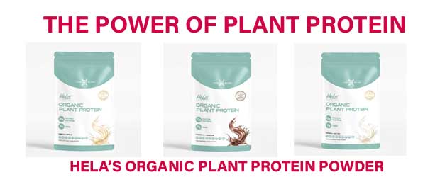 Indoor Cycling Society » The Power of Plant Protein